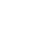 Strategic Objectives - Azad Foundation